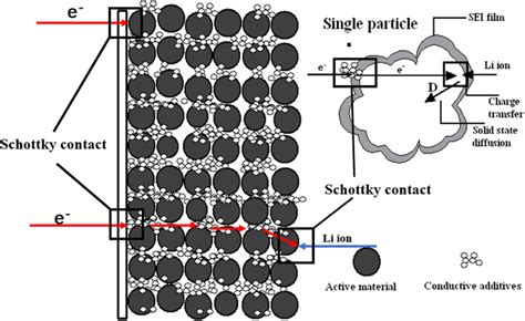 Model Schematic Diagram Of The Physical Mechanism Of The Lithium Download Scientific Diagram