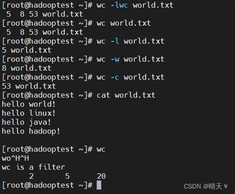 阶段1 Linux中输入输出、过滤器和管道linux 管道输出 文件 Csdn博客 阶段1 Linux中输入输出、过滤器和管道linux 管道输出 文件 Csdn博客