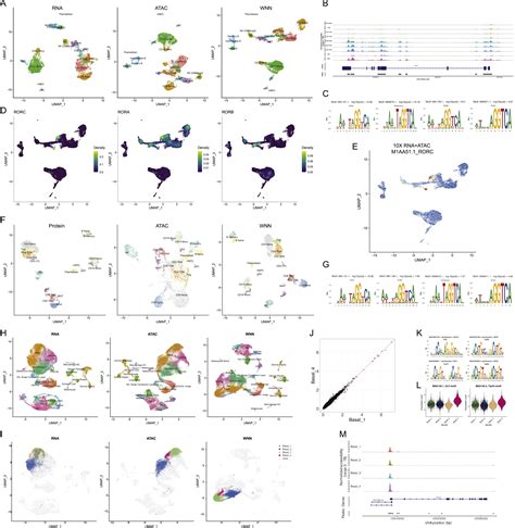 Integrated Analysis Of Multimodal Single Cell Data Cell