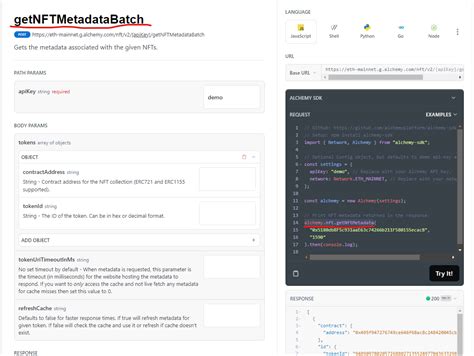 Fr Getsingleownednft Issue Alchemyplatform Alchemy Sdk Js