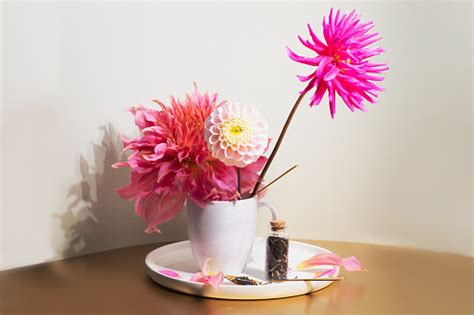 회색 배경에 흰색 서빙 트레이에 국화의 피는 분홍색 가지가 있는 도자기 컵 복사 공간 차 항산화 음료를위한 향기로운 건조 허브 수제 장식 꽃 구성 가정 생활에 대한 스톡