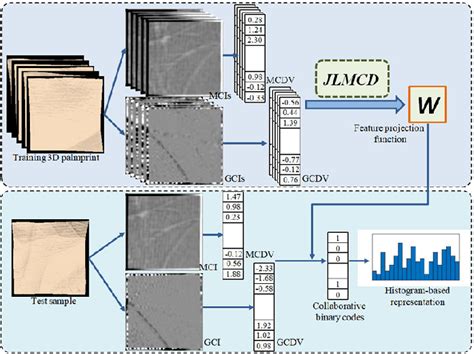 Figure 1 From Jointly Learning Multiple Curvature Descriptor For 3d Palmprint Recognition