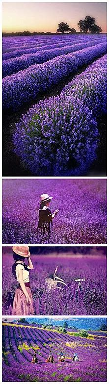 20120901图片大全 20120901高清好看的图片 花瓣我的小宝贝2012的画板