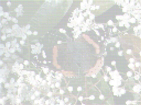 Color Ascii Art