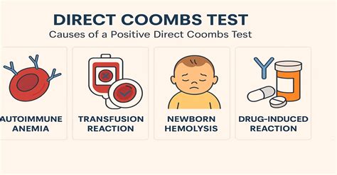 Direct Coombs Test Dat Purpose Results Normal And Positive Levels