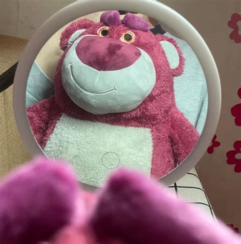Disney 草莓熊抱哥 MiffyUSA米菲美國