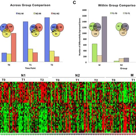 Individual Gene Based Differential Expression Analysis A