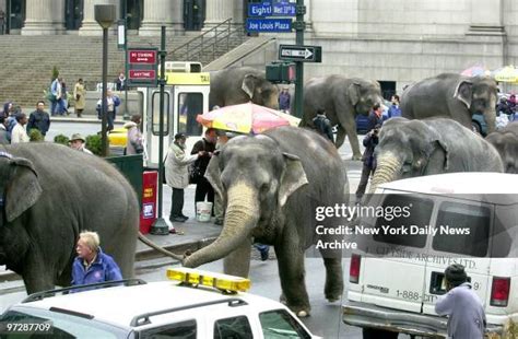 Elephant Pass Photos And Premium High Res Pictures Getty Images