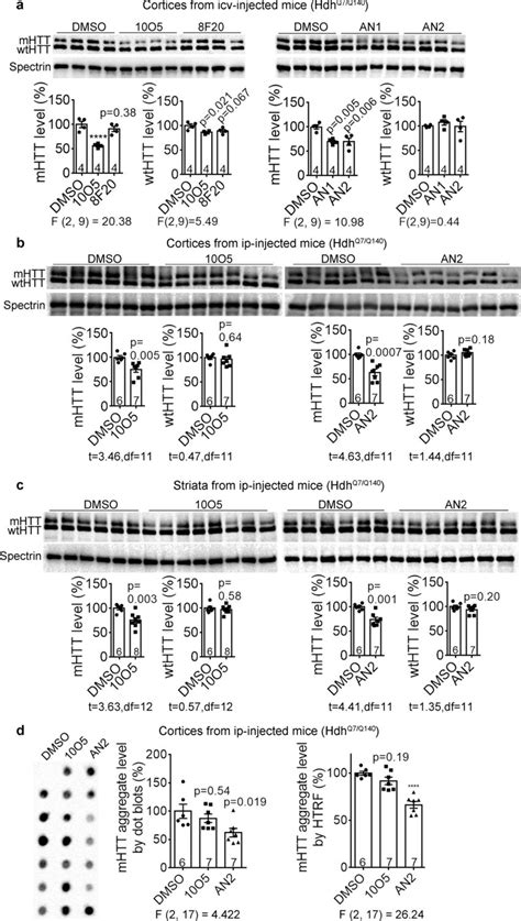Mhtt Lc3 Linker Compounds Lowered Mhtt In Vivo In Mouse Brains A Download Scientific Diagram