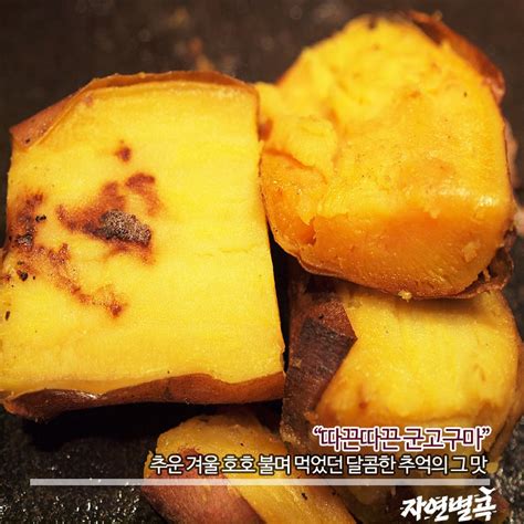 동아쇼핑점 동아쇼핑 9층 자연별곡 정성담아 건강담아 자연별곡 쇼핑점 겨울 신메뉴 그리고 일품