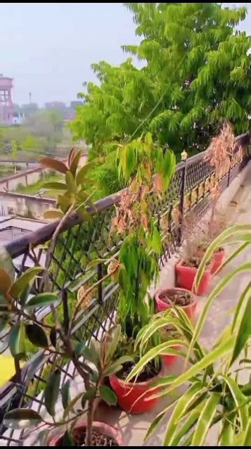 A Day In My Life 💕 Medicosgirl7963 Shorts Youtube Vlog Viralreels Dailyvlog Trend Reels