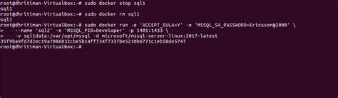 Sql1996 DATABASE BACKUP AND RESTORE IN DOCKER