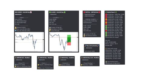 Mt5 To Discord Signal Provider Buy Trading Utility For Metatrader 5