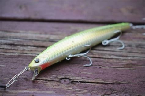 Bass Day Log Surf 2 Densities And 2 Sizes For A Perfect Fit