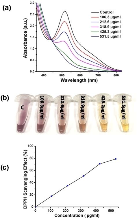 Antioxidant Assay A Uv‐vis Spectra Of Dpph Radical Scavenging Download Scientific Diagram