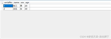 C组装datatab并通过for循环取值c 循环datatable Csdn博客