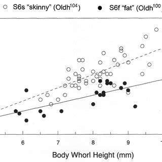 Shell Apex Height A As A Function Of Body Whorl Height B In A Download Scientific Diagram