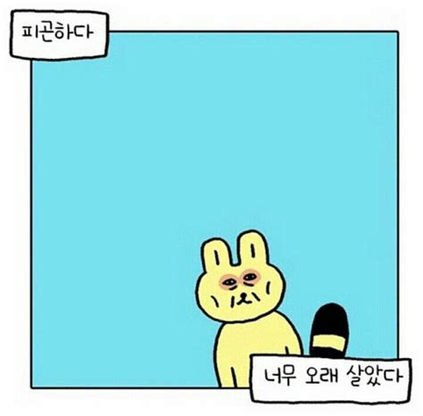 현생에 지친 익들을 위한 짤 46장 공유 인스티즈 Instiz 일상 카테고리