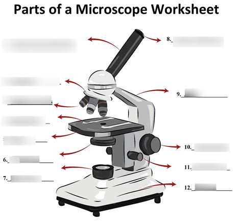 Biology 195 Lab Midterm Exam Diagram Quizlet
