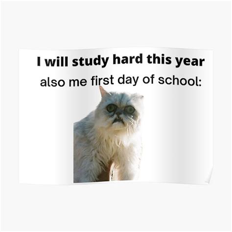 Cat Meme Poster For Sale By Eckaa Redbubble