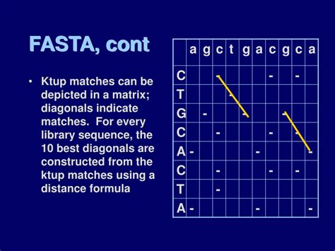 Ppt Database Searching Blast And Fasta Powerpoint Presentation Free