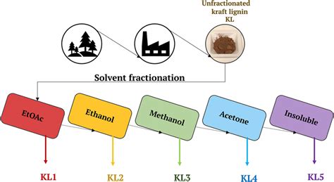 Schematic Representation Of The Sequential Solvent Fractionation
