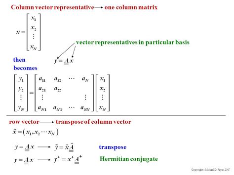 Conjugate Vector At Collection Of Conjugate Vector Free For Personal Use