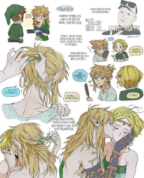 Pin By Nico On Zelink P Legend Of Zelda Characters Zelda Art Legend Of Zelda Breath
