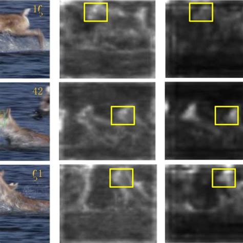 visualization of convolutional features three frames from the deer download scientific diagram