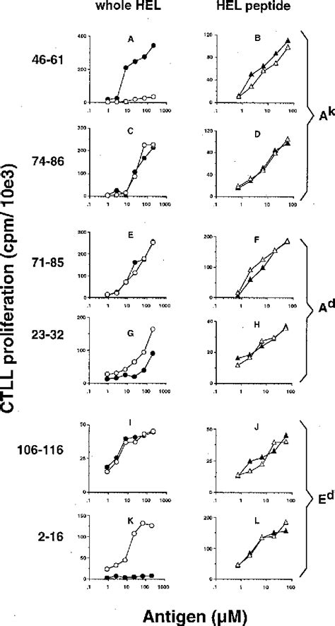Figure 1 From In Vivo Priming Of T Cells Against Cryptic Determinants By Dendritic Cells Exposed