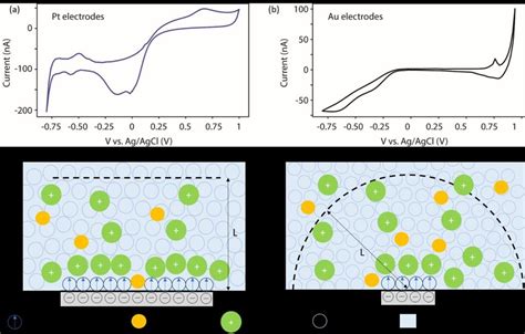 Cyclic Voltammetry And Diffusion Model Of Pt And Au Electrodes A