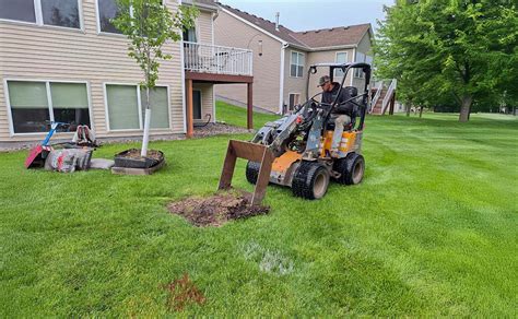 Professional Tree Planting Process For Minneapolis Mn Rainbow Treecare