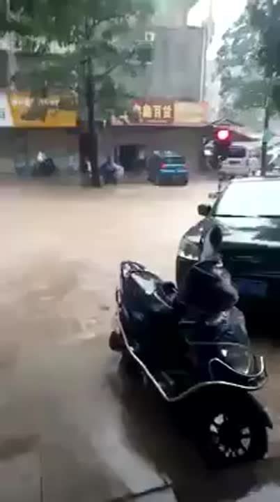 Dr M Zaheer Ahmed On Linkedin First Time In History Signal Is Crossing The Road😜😂🤣 34 Comments