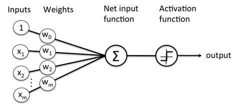Solving Xor With A Single Perceptron By Lucas Araújo Medium