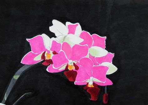 How To Draw An Orchid Simple Easy To Follow Step By Step Guide