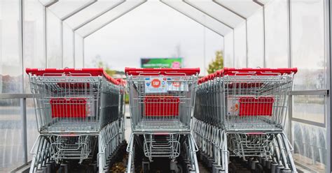 Teoría Del Carrito De Compras Qué Dice Y Cómo Saber Qué Tipo De Persona Eres
