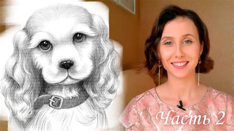 2 часть Как нарисовать собаку карандашом поэтапно Щенок английский кокер спаниель Youtube