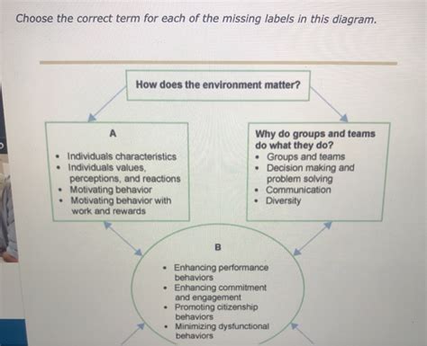 Solved Choose The Correct Term For Each Of The Missing