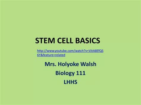 Ppt Stem Cell Basics Powerpoint Presentation Free Download Id4697277