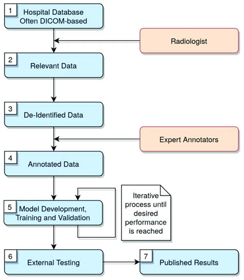 Workflow Of Image Annotation Segmentation And Elaboration The Download Scientific Diagram