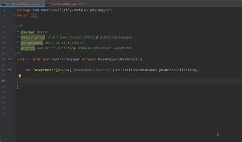Springboot Springboot Mybatisx，真香！mybatisx 安装那个好一点 Csdn博客