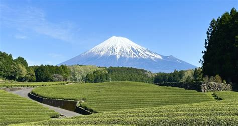 会員情報 公式日本補償コンサルタント協会 中部支部