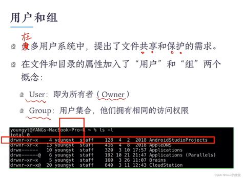 文件系统 Csdn博客