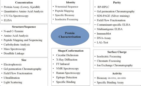 Analytical Methods For Protein Characterisation Download Scientific Diagram