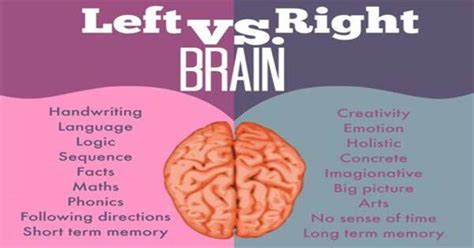 Right Side Vs Left Side Of The Brian Thinkers [1 Min Read]
