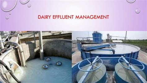 SOLUTION Dairy Effluent Treatment Complete Notes In English Studypool
