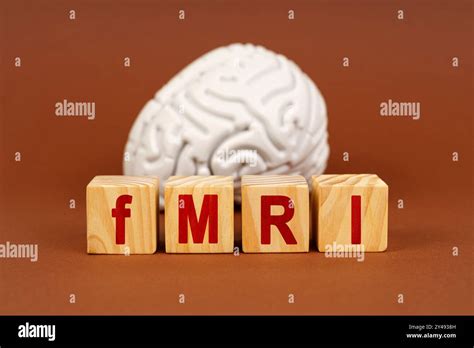 A Detailed Brain Model Is Placed Behind Wooden Blocks Spelling Fmri Illustrating Advanced