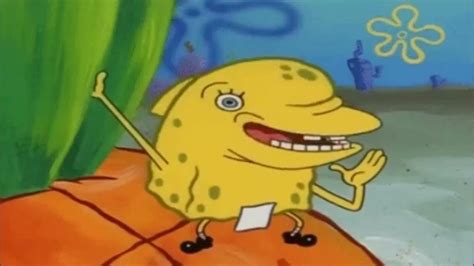 Spongebob Dolphin Censor Sound Effect Youtube