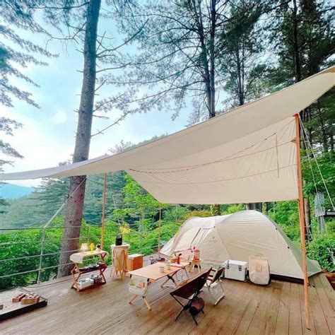 경기포천 서울근교 애견동반 캠핑장 추천 나무새캠핑장 인포캠핑