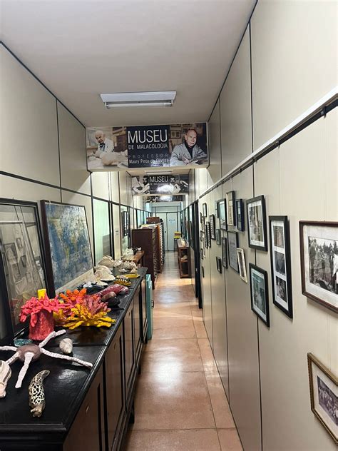 Museu De Malacologia Instituto De Ciências Biológicas Icb